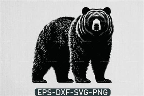 Walking Grizzly Bear Svg Wildlife Svg Graphic By Uzzalroyy9706