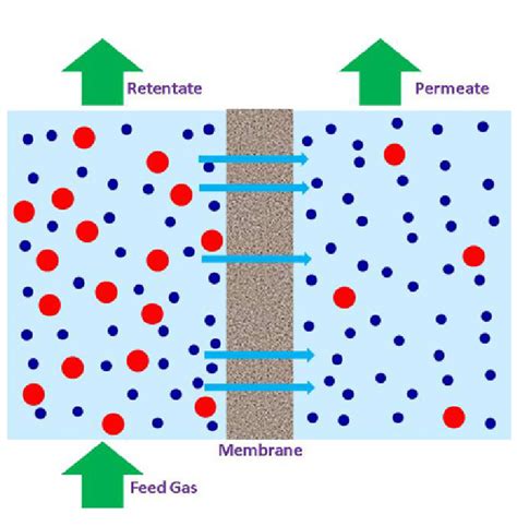 Schematic Of Gas Separation Membrane Download Scientific Diagram