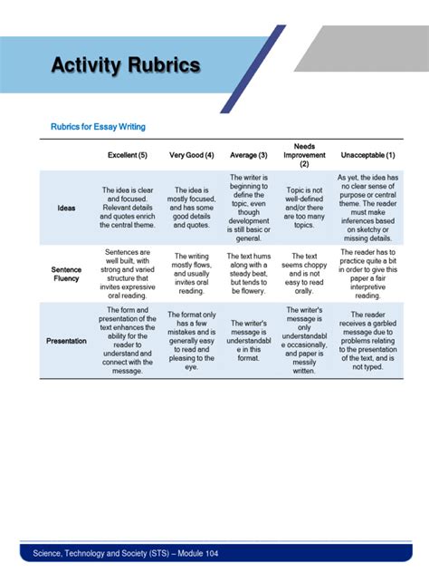module 4 rubrics pdf experience argument