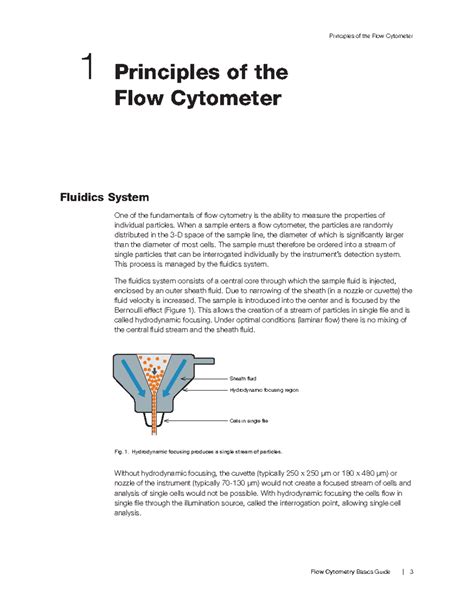 Flow Cytometry Basic Guide Of Flow Cytometery Flow Cytometry Basics Guide 3 1 Principles