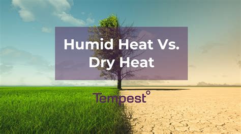 Humid Weather Định Nghĩa Ví Dụ Câu Và Cách Sử Dụng