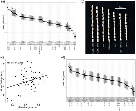 A Wheat Chromosome Segment Substitution Line Series Supports Characterization And Use Of