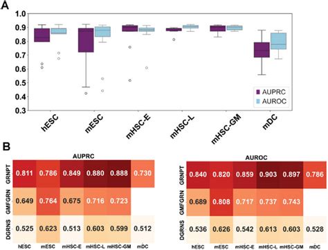 Integrating Prior Knowledge Using Transformer For Gene Regulatory