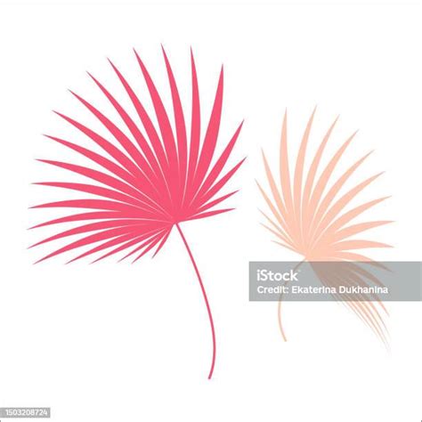 보헤미안 여름 휴가와 해변에서의 수상 스포츠 현대적인 여름 디자인 템플릿이 있는 카드입니다 배너 포스터 전단지를 위한 최소한의 라벨 디자인 벡터 그림 건강한 생활방식에 대한