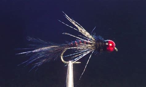 Assassin Fly Pattern Planettrout