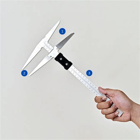 4 Types Of Caliper In Anthropometric Measurement Solo Abadi