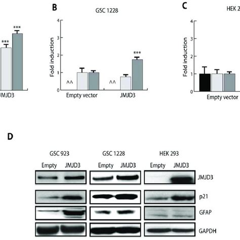 Illumina Infinium Human Methylation 450 Bead Chip Methylation Arrays On Download Scientific