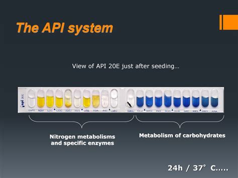Api Identification System Tda
