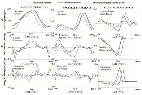Angular And Kinetic Models For The Standard Subjects Intact And Download Scientific Diagram