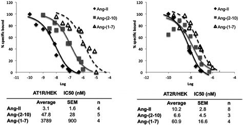 Displacement Curves Of Competition Radioligand Binding Studies