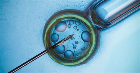 The 5 Differences Between In Vivo In Vitro And Ex Vivo 【 2023