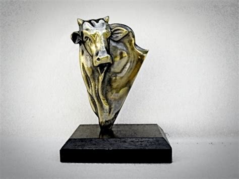 Nl13 Nelore Mini Tod Metais