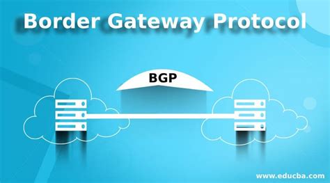border gateway protocol distance vector
