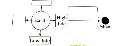 Complete The Flow Chart From Chetan Physics Tamil English Gravitation