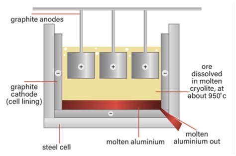 Module 4 3 Flashcards Quizlet