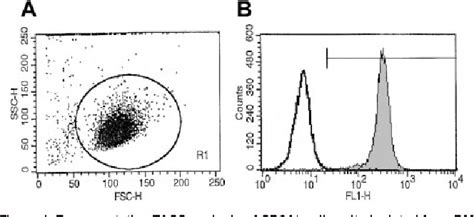 Hematopoietic Cell Growth Factors Semantic Scholar