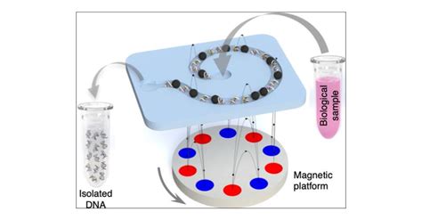 Gunes Kibar On Linkedin Novel 3d Printed Microfluidic Magnetic Platform For Rapid Dna Isolation