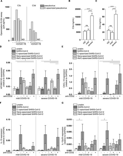 Control Of Complement Induced Inflammatory Responses To Sars Cov 2