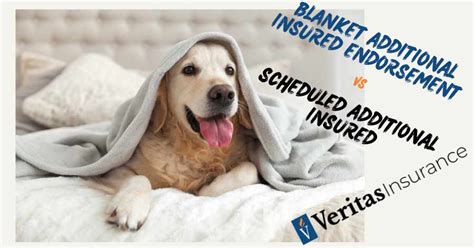 what is blanket additional insured