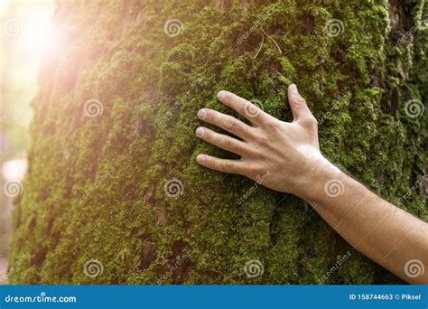 Man Hugging Tree In Forest Stock Image Image Of Caucasian