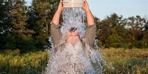 Visualising Muscle Disease Eth Zurich