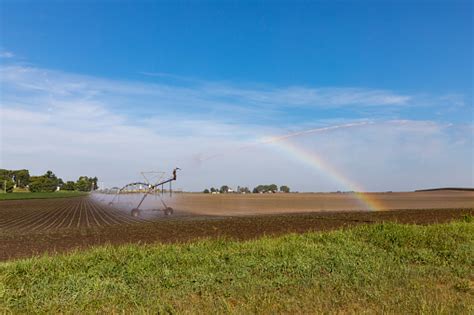 센터 피벗 관개 시스템은 아침 태양 빛에 무지개를 만드는 최근 심은 콩 농장 필드에 물을 분사 일리노이에 대한 스톡 사진 및 기타 이미지 Istock