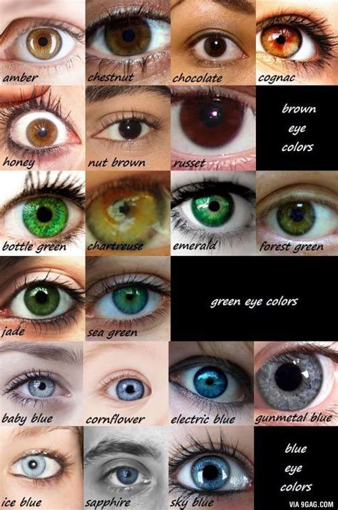 Whats The Color Of Your Eye Tipos De Ojos Inspiración Para La