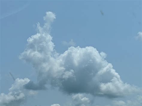Bunny Cloud Rpareidolia