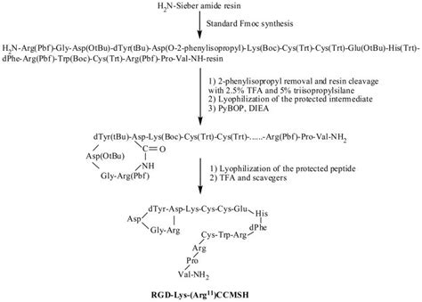 Evaluation Of A Novel Arg Gly Asp Conjugated α Melanocyte Stimulating Hormone Hybrid Peptide For