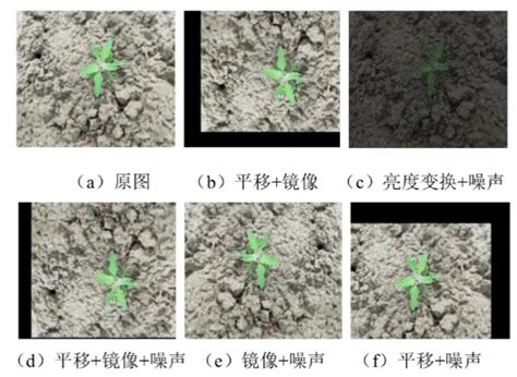 Mask R Cnn 对农田大豆及杂草进行实例分割 训练农作物大豆整体区域，大豆杂草顶部和大豆根部区域实例分割数据集 1 Csdn博客