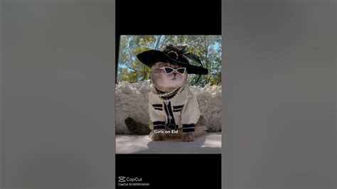 Girls In Ramadan Eid Ramadan Memes Funny Girls Funnymemes Ramzan