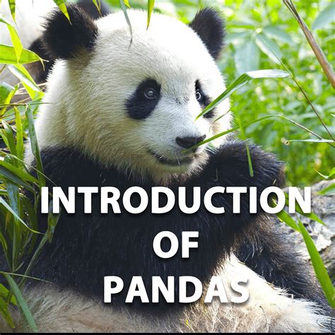 Live Webinar Learn Introduction Of Pandas For Data Science So Easy