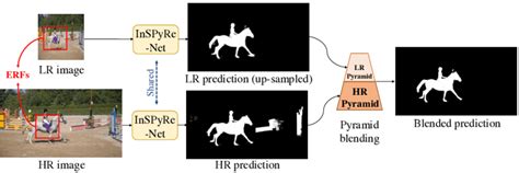 Illustration Of Effective Receptive Field Erf 5 Discrepancy Between Download Scientific