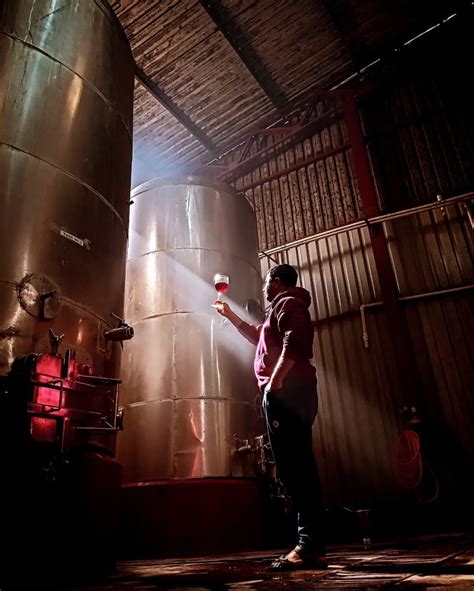 atharv bachute on linkedin wine vintner winetime sunshine india season