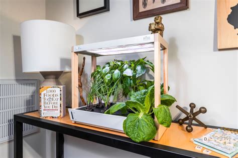 5 Indoor Plant Growing Systems To Help Your Crops Thrive Livingetc