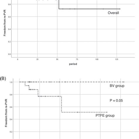 Freedom From Re‐pvr After Pvr In Overall A And Each Group B Bv