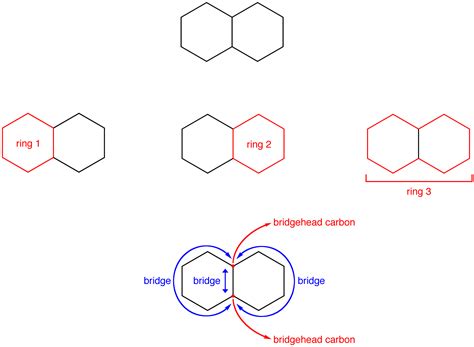 310 Conformations Of Polycyclic Molecules Chemistry Libretexts