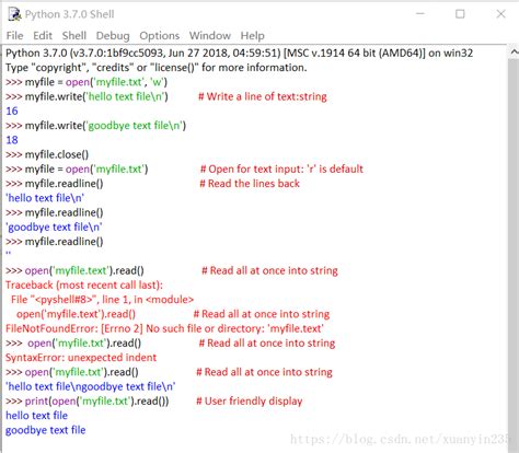 Python文件处理与对象存储 Csdn博客