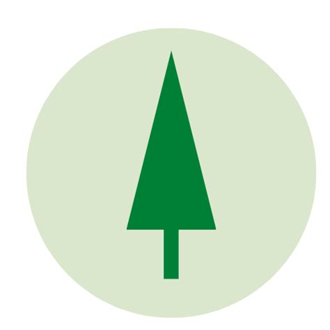 Shelter Trees BH Horticulture Ltd