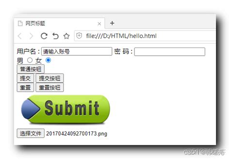 【html】html 表单 ② 按钮表单 普通按钮 提交按钮 重置按钮 图片按钮 文件域 【html】html 表单 ② 按钮表单 普通按钮 提交按钮 重置按钮 图片按钮 文件域
