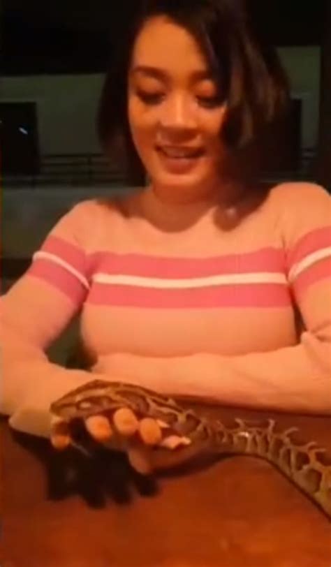 အန္တရာယ်များတဲ့ မြွေတစ်ကောင်ကို လက်ပေါ်တင်ပြီး မကြောက်မရွံ့နဲ့ အသာအယာ ဆော့ပြလိုက်တဲ့ ဖွေးဖ