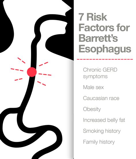 What Is Barrett39s Esophagus Causes Symptoms Diagnosis