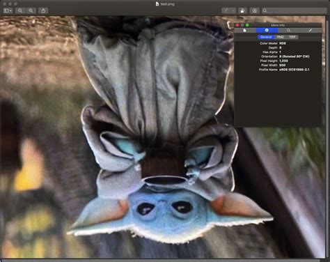 Pil Failed To Extract Exif While Macos Preview App Can · Issue 4529 · Python Pillowpillow · Github
