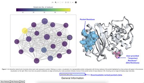Basic Tutorial Automated Cryptic Pocket Detection With Probe Occupancy Analysis — Orion