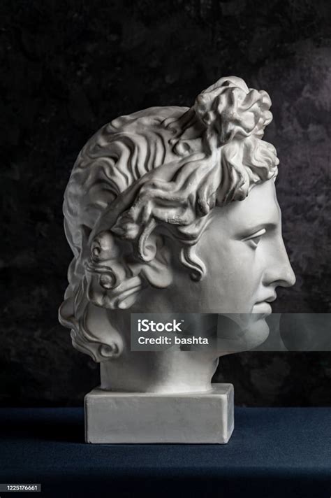 어두운 질감의 배경에 예술가를위한 태양의 아폴로 하나님 머리의 고대 동상의 흰색 석고 사본 르네상스 시대 사람의 얼굴의 석고 조각 0명에 대한 스톡 사진 및 기타 이미지