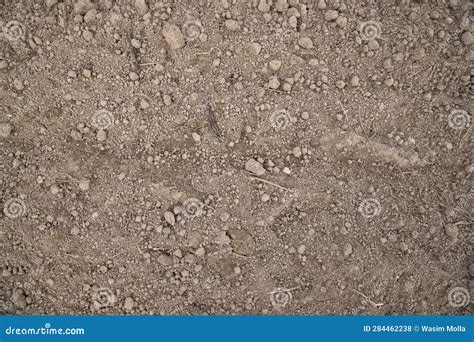 Soil Peat Moss Dirty Background And Texture Royalty Free Stock