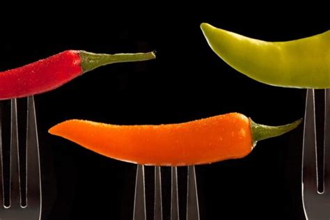 Firefly 500 Top Restaurant Chains Datassential