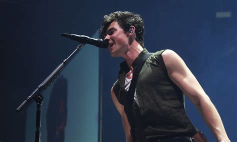 Shawn Mendes Performing At Arena Birmingham Birmingham Live