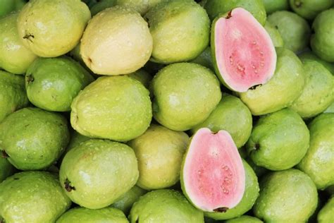 32 health benefits of guava health tips