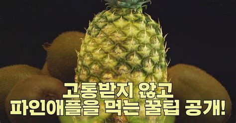 파인애플·키위 먹으면 혀 아픈 사람세 가지 이유